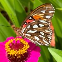 Ms. Ro – Life…. and then some.